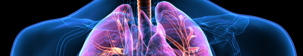 The Role of Pre-Clinical Bleomycin Models in IPF Drug Development ...